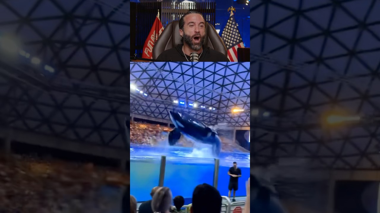 Whale Poops at Sea World San Antonio, Splashing the Crowd! - Valuetainment